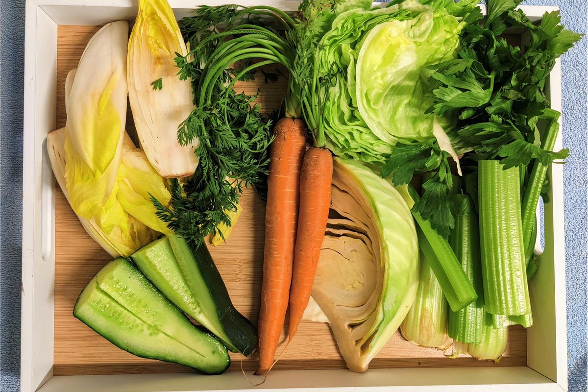 Info over cavia's | Dierenpension Oase